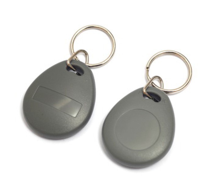 Tag Rfid 125 KHZ